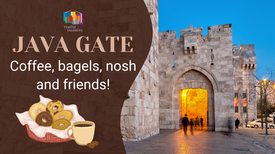 33rd Annual Project Manna Concert - Temple Emanuel