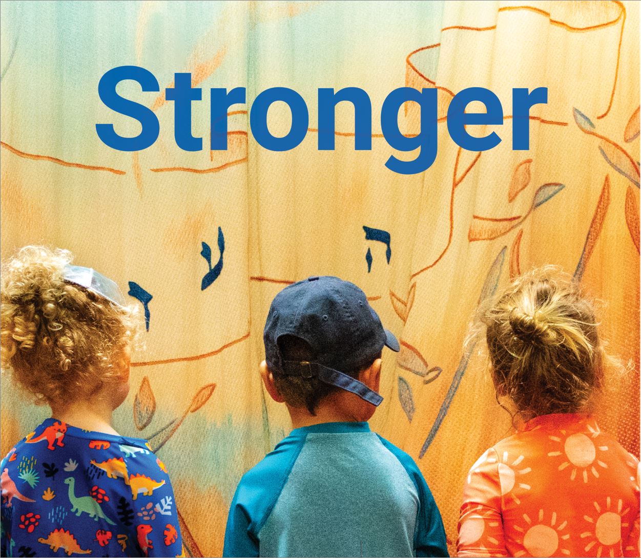 Strategic Plan - Temple Emanuel